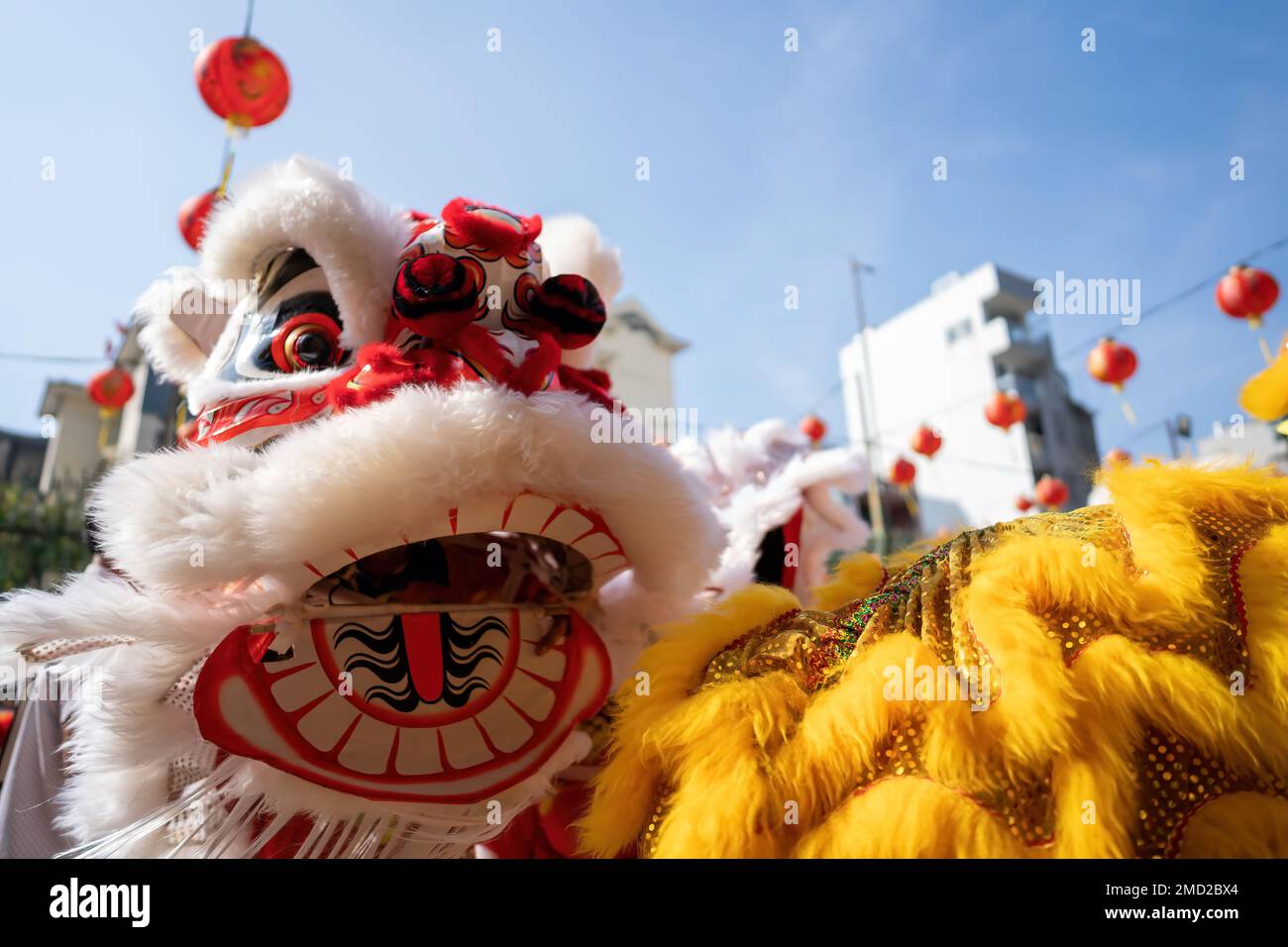 Dragon and lion dance show in chinese new year festival (Tet festival ...