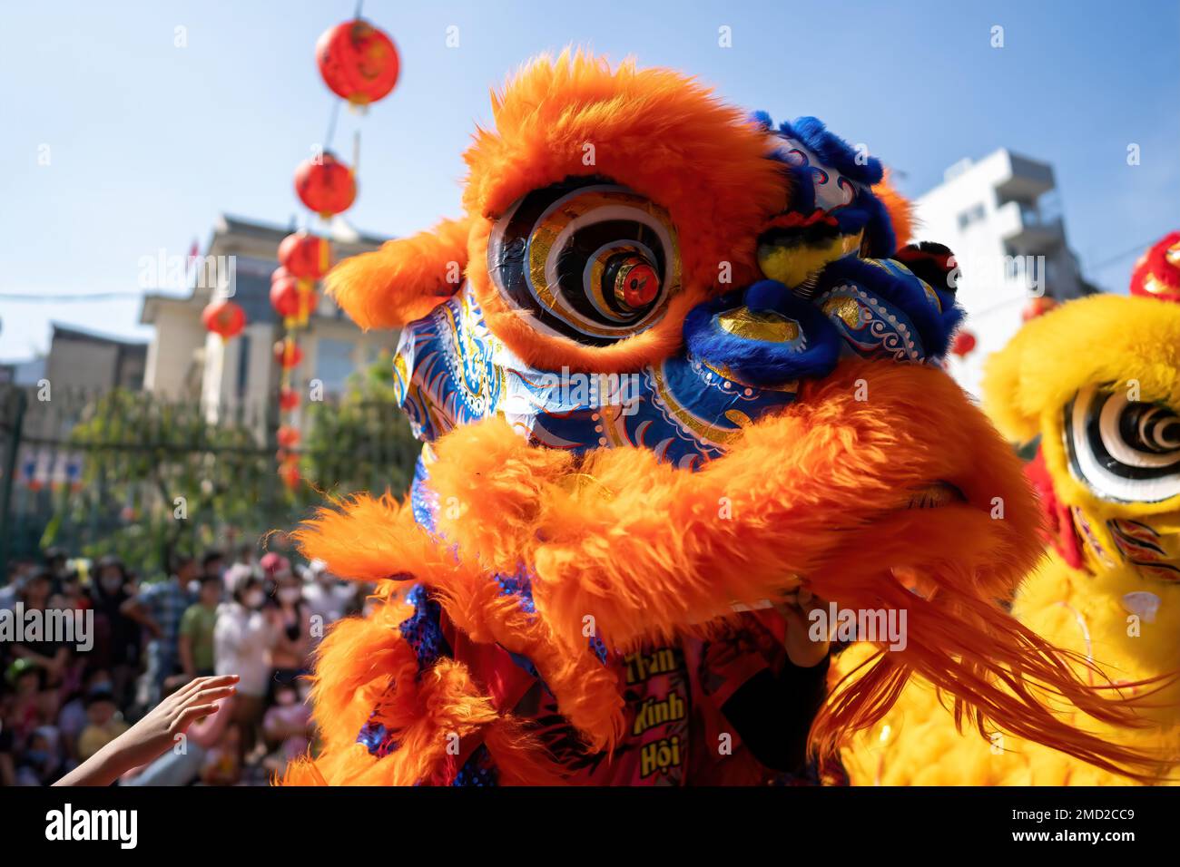 Dragon and lion dance show in chinese new year festival (Tet festival ...