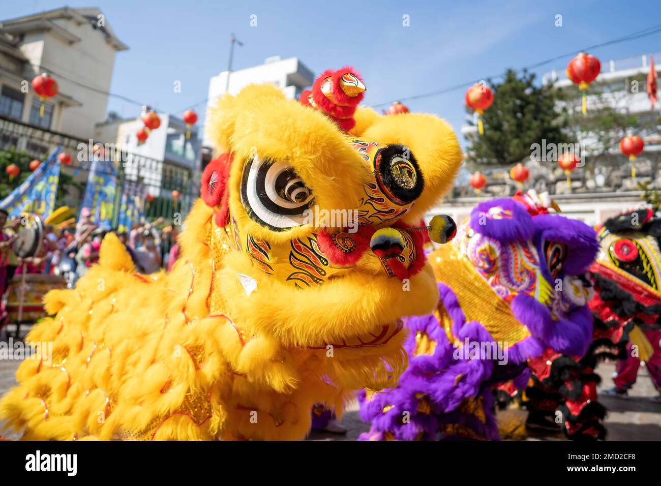 Dragon and lion dance show in chinese new year festival (Tet festival ...