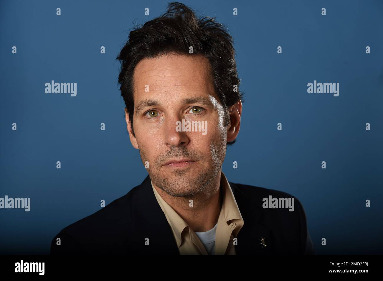 Actor Paul Rudd poses for a portrait during press day for "Ant-Man and ...