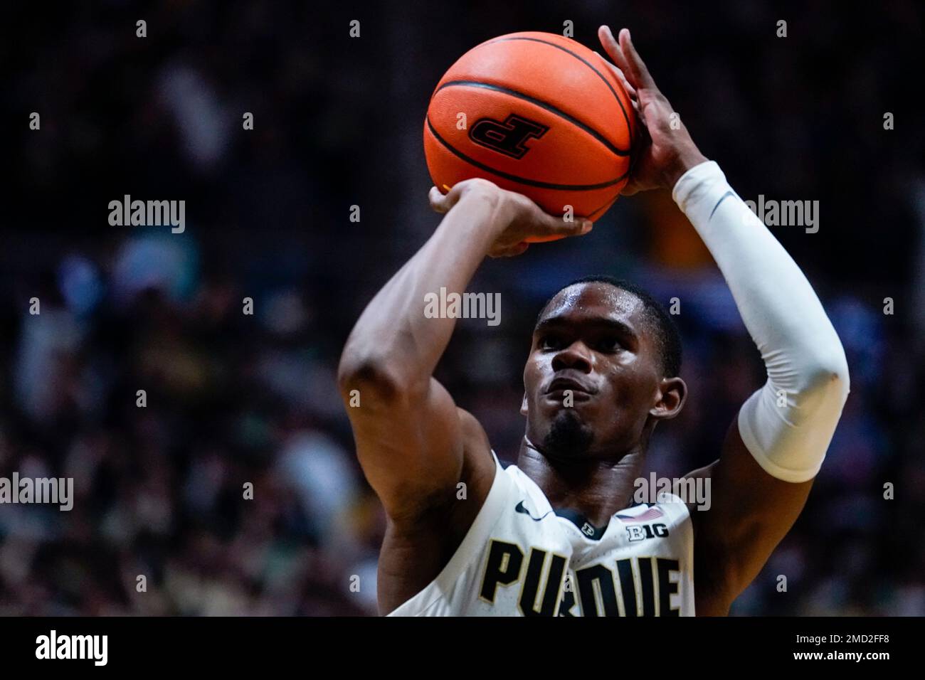 Brandon newman hi-res stock photography and images - Alamy