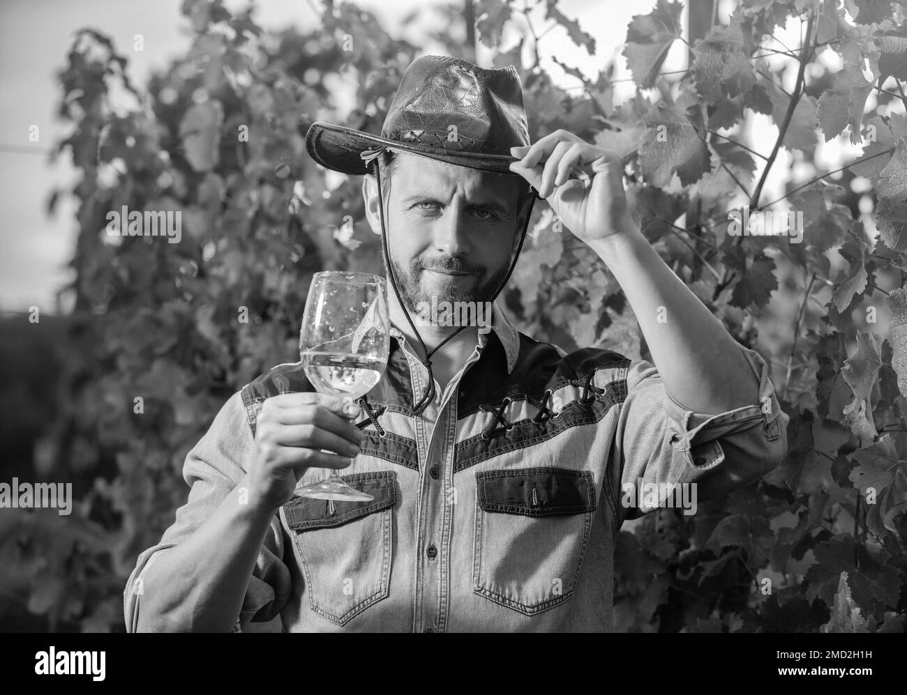 vinedresser drinking. male vineyard owner. professional winegrower on ...