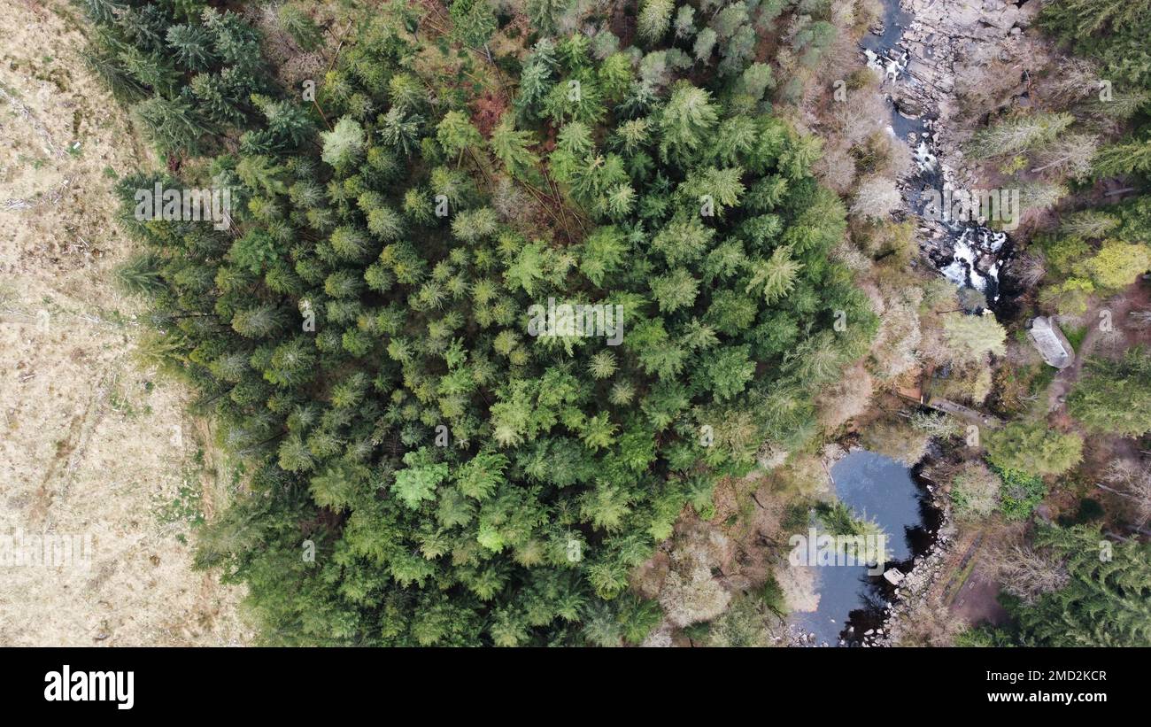 A bird's eye view of the waterfall between the fir forest trees Stock ...