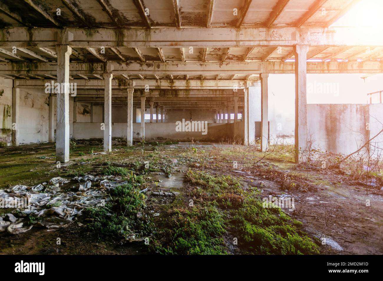 Old ruined industrial building overgrown by green moss and plants Stock ...