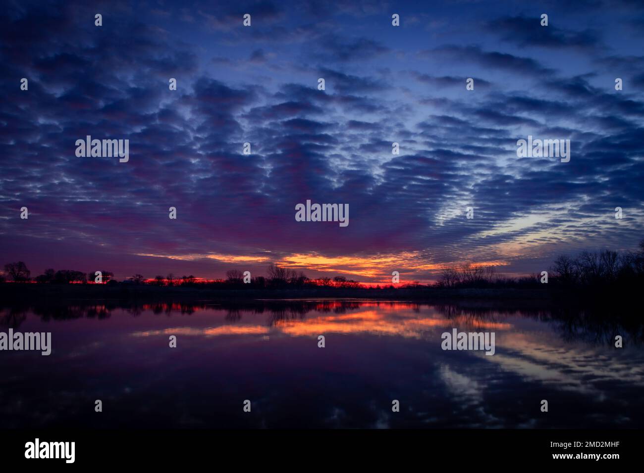 Beautiful shot florida sunset silhouette hi-res stock photography and ...