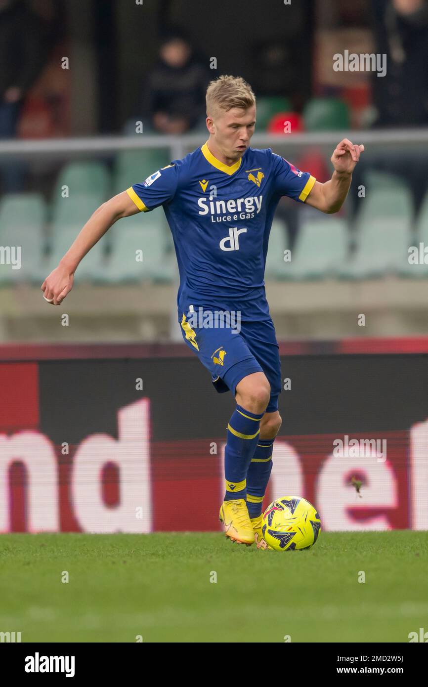 Doig verona hi-res stock photography and images - Alamy