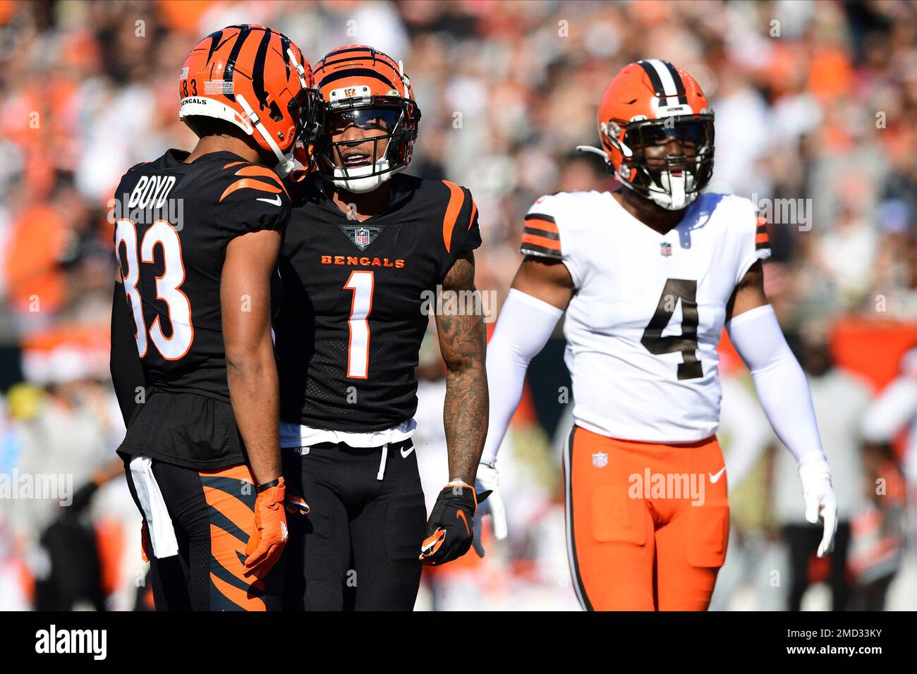 Cincinnati Bengals wide receiver Ja'Marr Chase (1) celebrates with wide ...