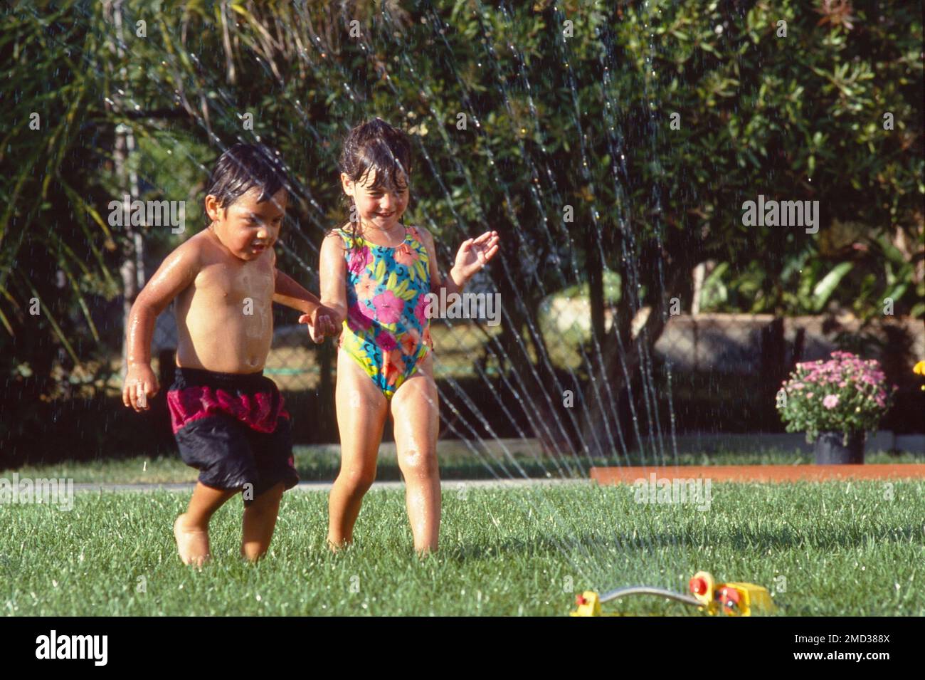 Little boy and girl outside having fun running through the sprinkler ...