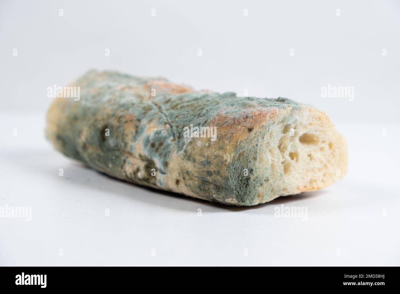 Mold on bread on a white background close-up. The danger of mold, stale ...