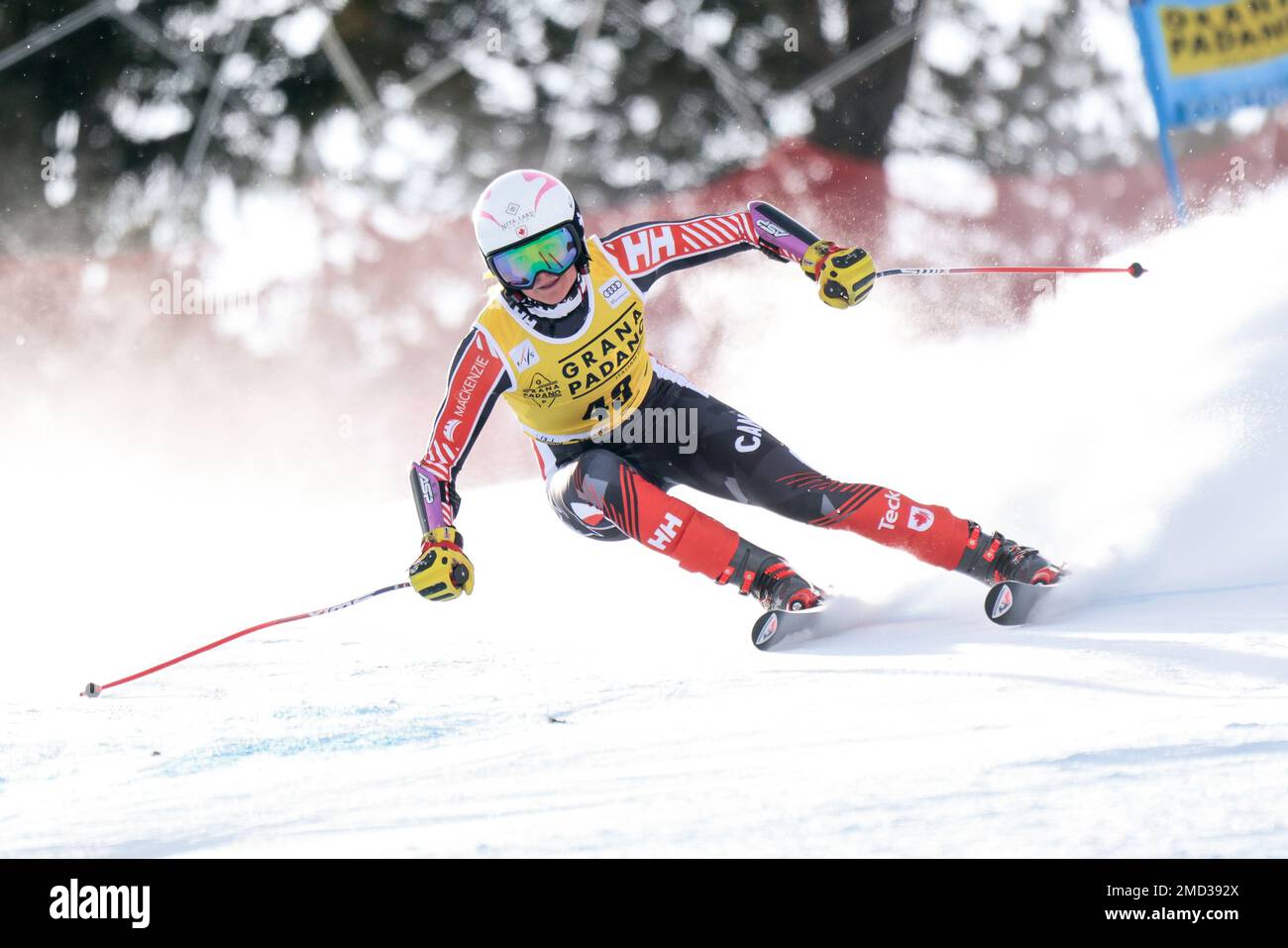 Fleckenstein stefanie hi-res stock photography and images - Alamy