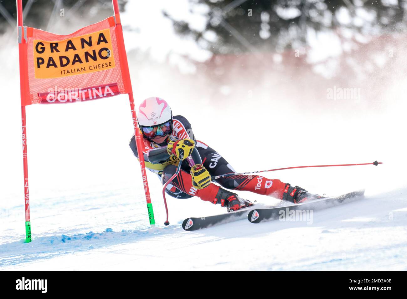 Fleckenstein stefanie hi-res stock photography and images - Alamy