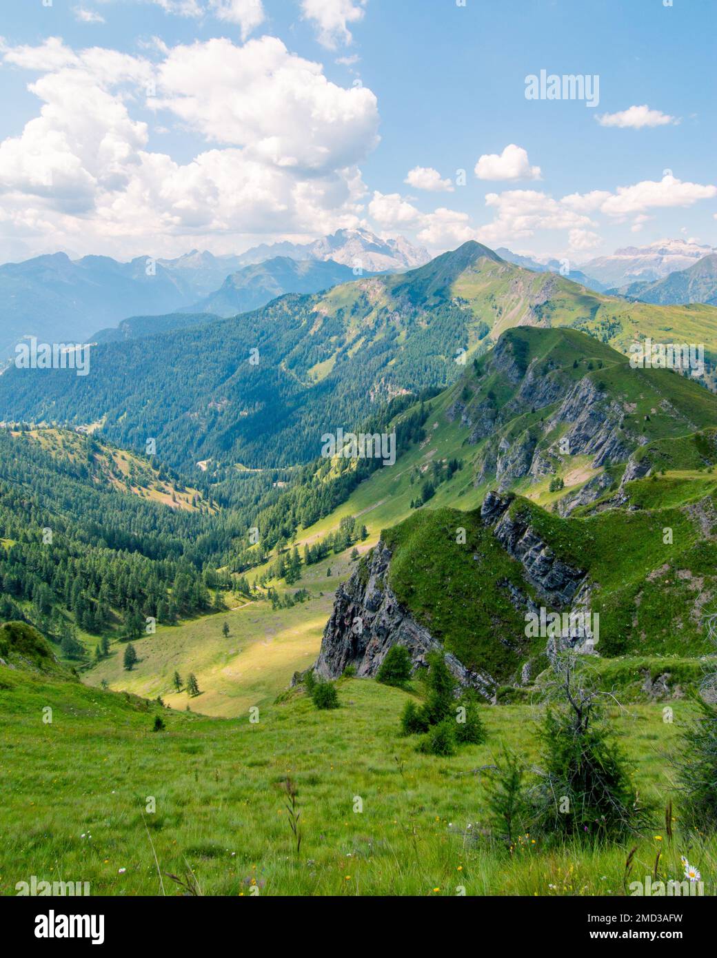 Vertical landscape typical of the Alps with beautiful green meadows ...
