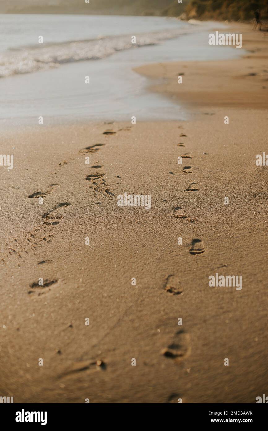 A vertical shot of person footprints on the sand with waves in the ...