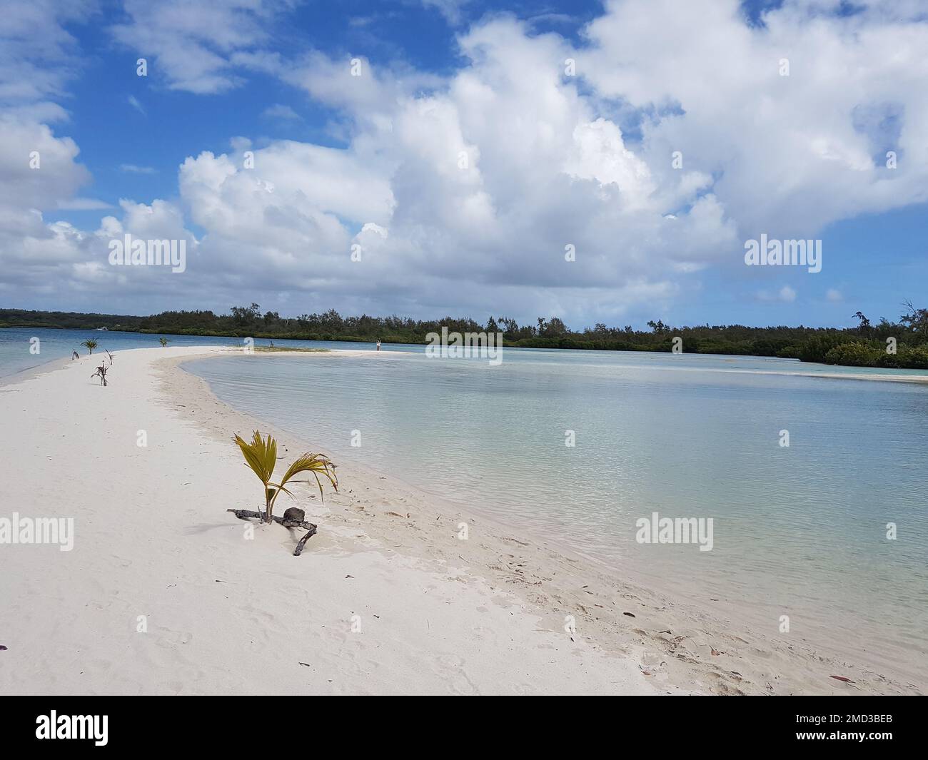 mauritius Ile aux Cerfs beach Stock Photo - Alamy