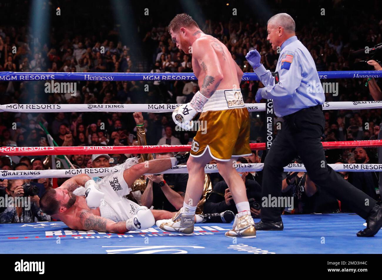 Canelo Alvarez, of Mexico, knocks down Caleb Plant during a super ...