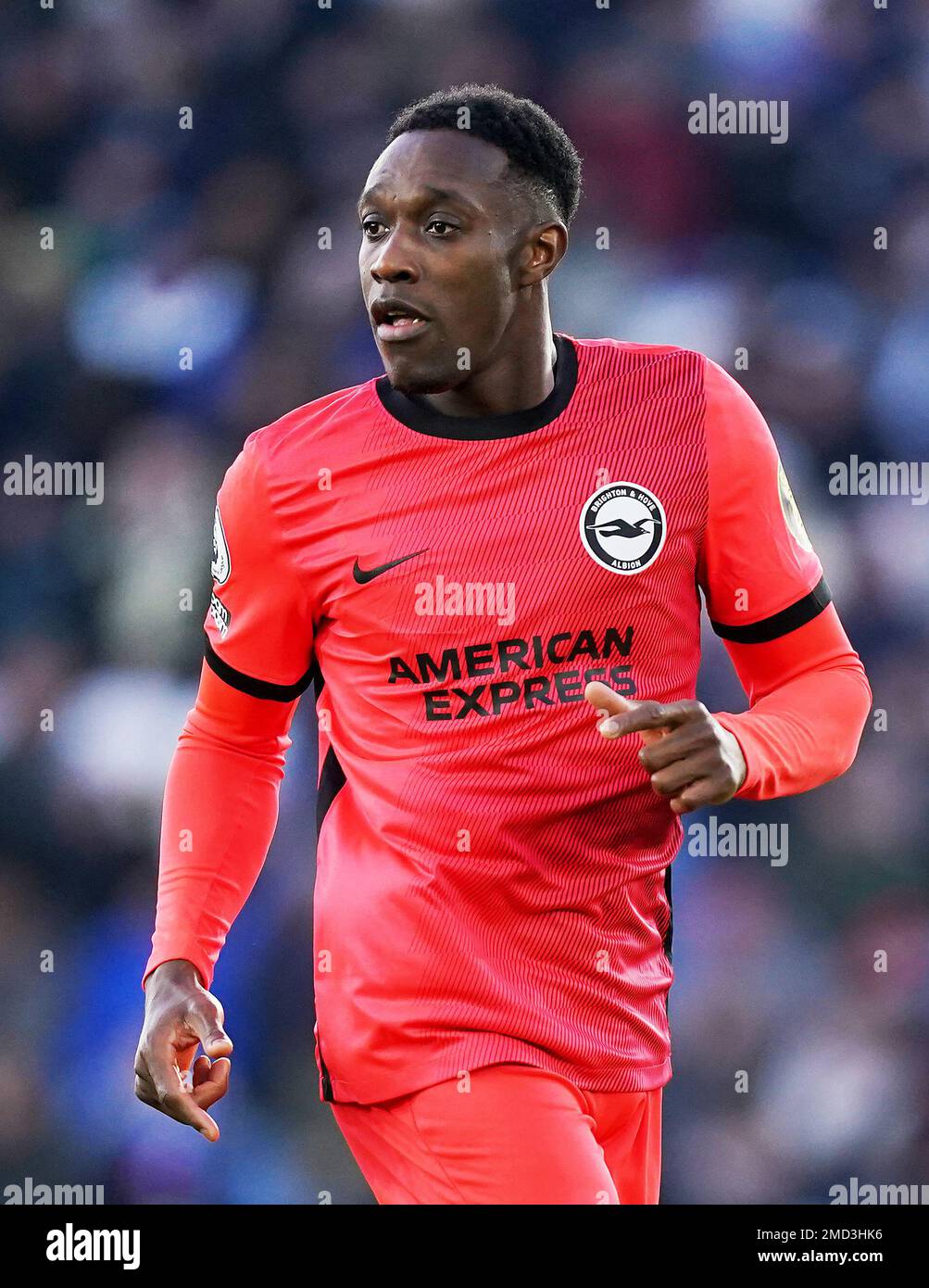 Brighton and Hove Albion's Danny Welbeck during the Premier League ...