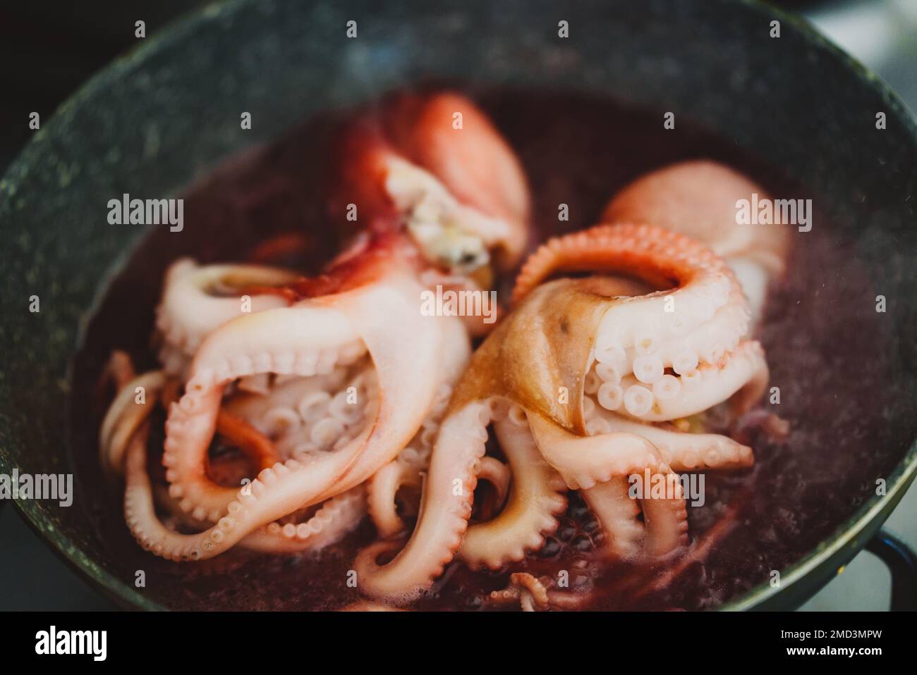 Octopus tentacles boiling in hi-res stock photography and images - Alamy