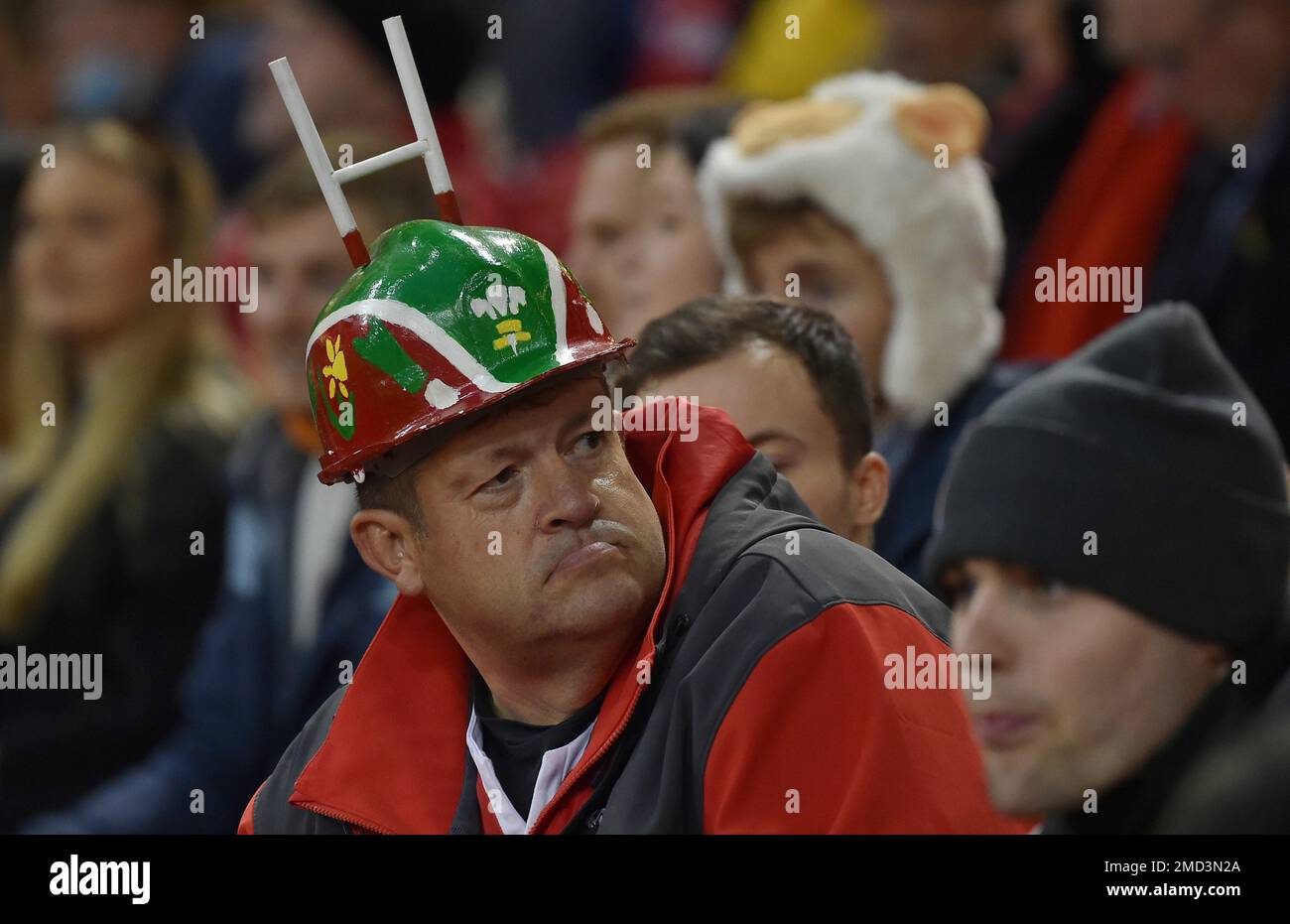 A South African rugby fan looks on before the start of the rugby union ...