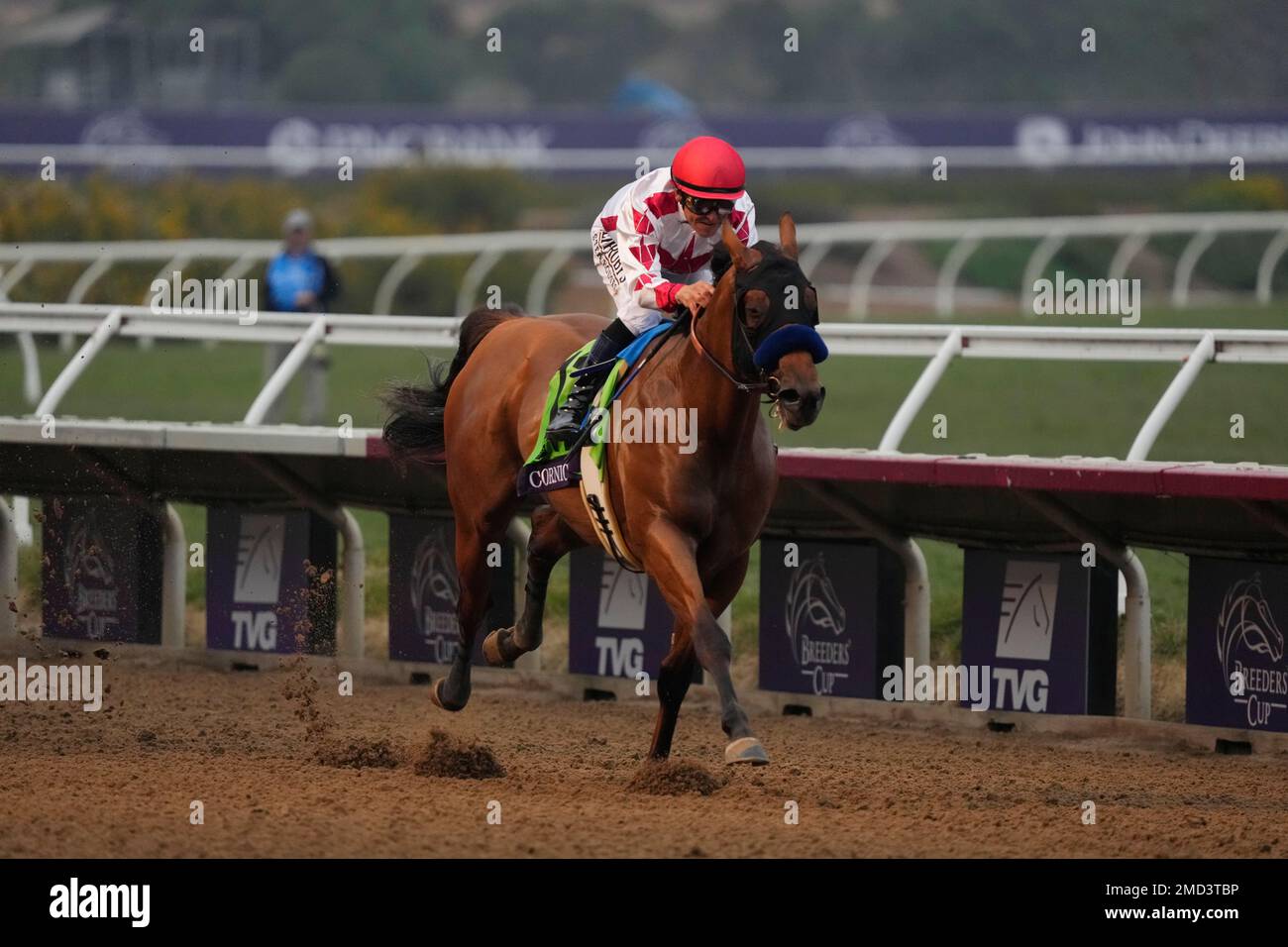Mike Smith rides Corniche to win the Breeders' Cup Juvenile race at the ...