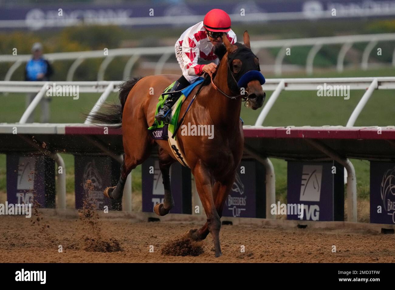 Mike Smith rides Corniche to win the Breeders' Cup Juvenile race at the ...