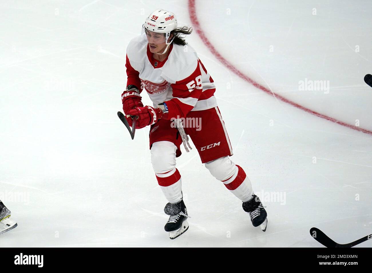 Detroit Red Wings left wing Tyler Bertuzzi (59) skates during the third ...