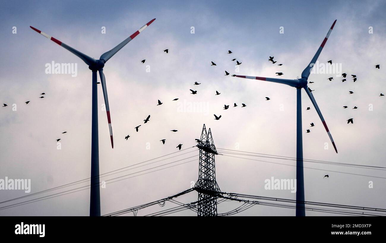 Birds fly between wind turbines in Gelsenkirchen, Germany, Friday, Nov ...