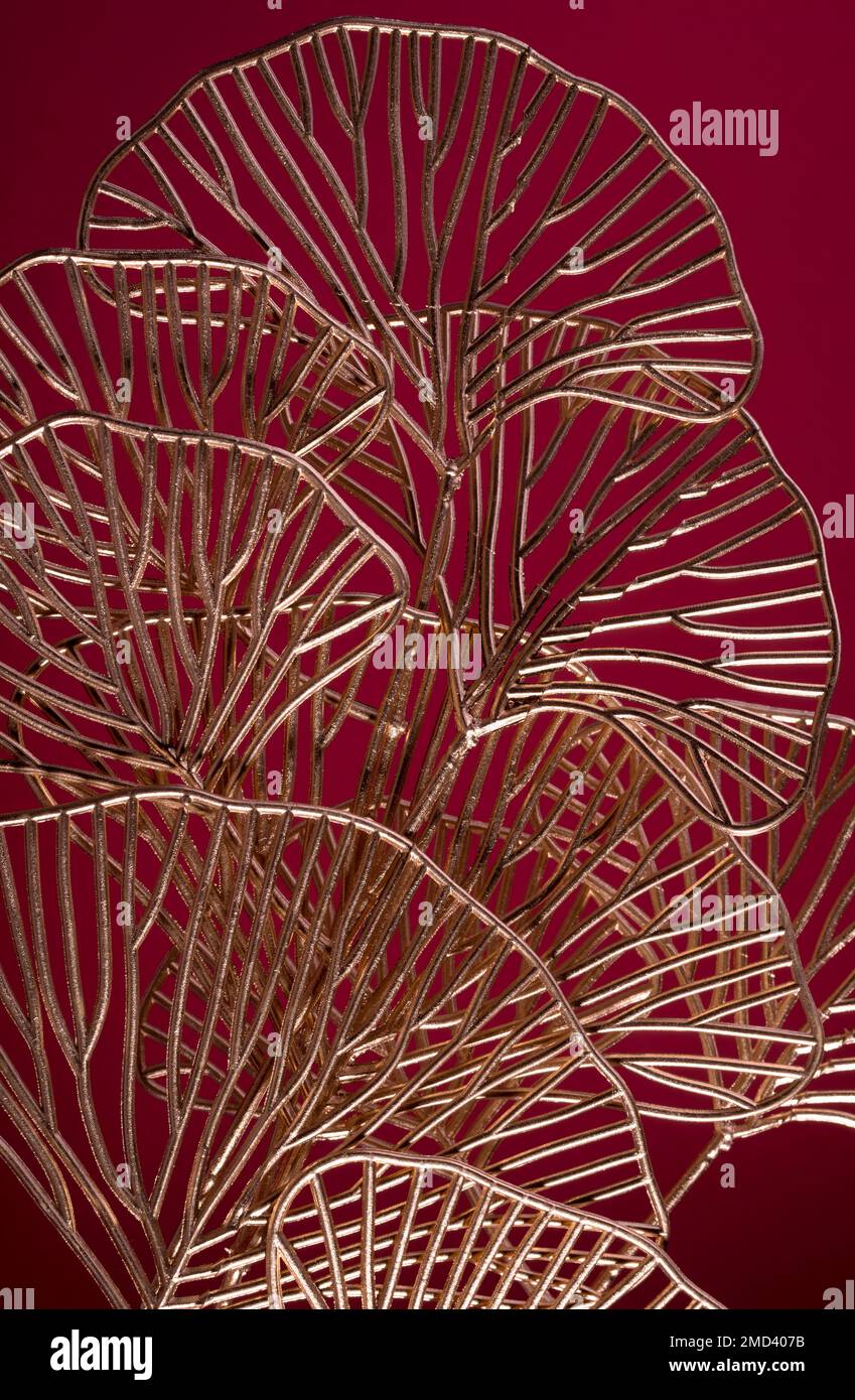 Golden Ginkgo Biloba Leaves Against Dark Red Background. Luxury ...