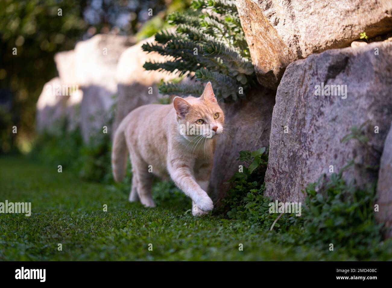 Cute mural hi-res stock photography and images - Alamy