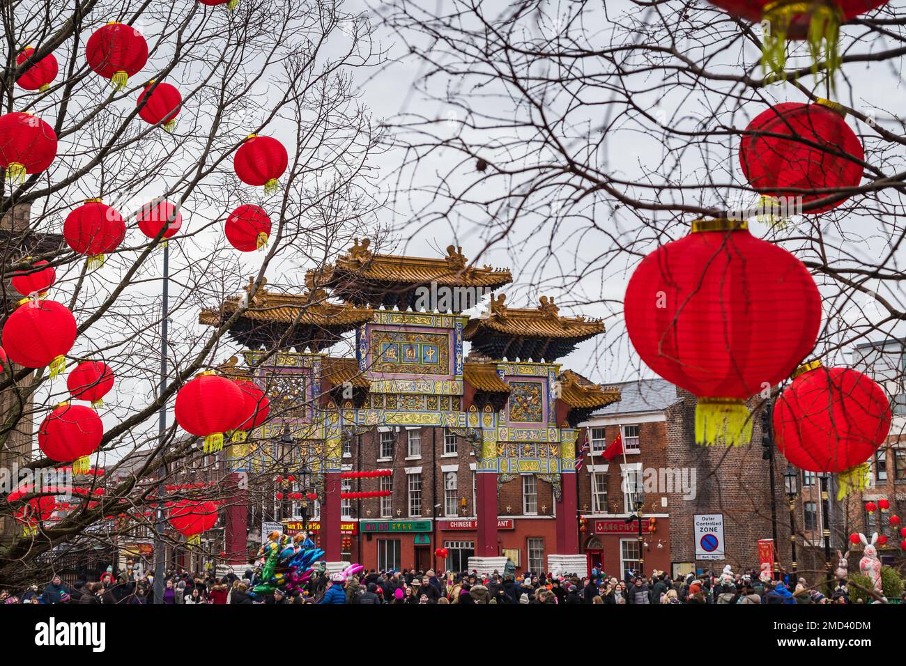Red paper lanterns hang from trees around the Chinatown district of ...