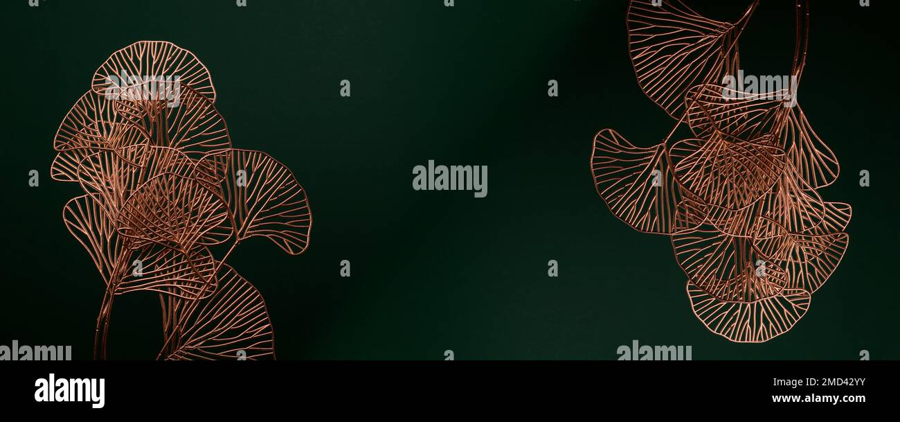 Golden Ginkgo Biloba Leaves Against Dark Green Background. Luxury ...