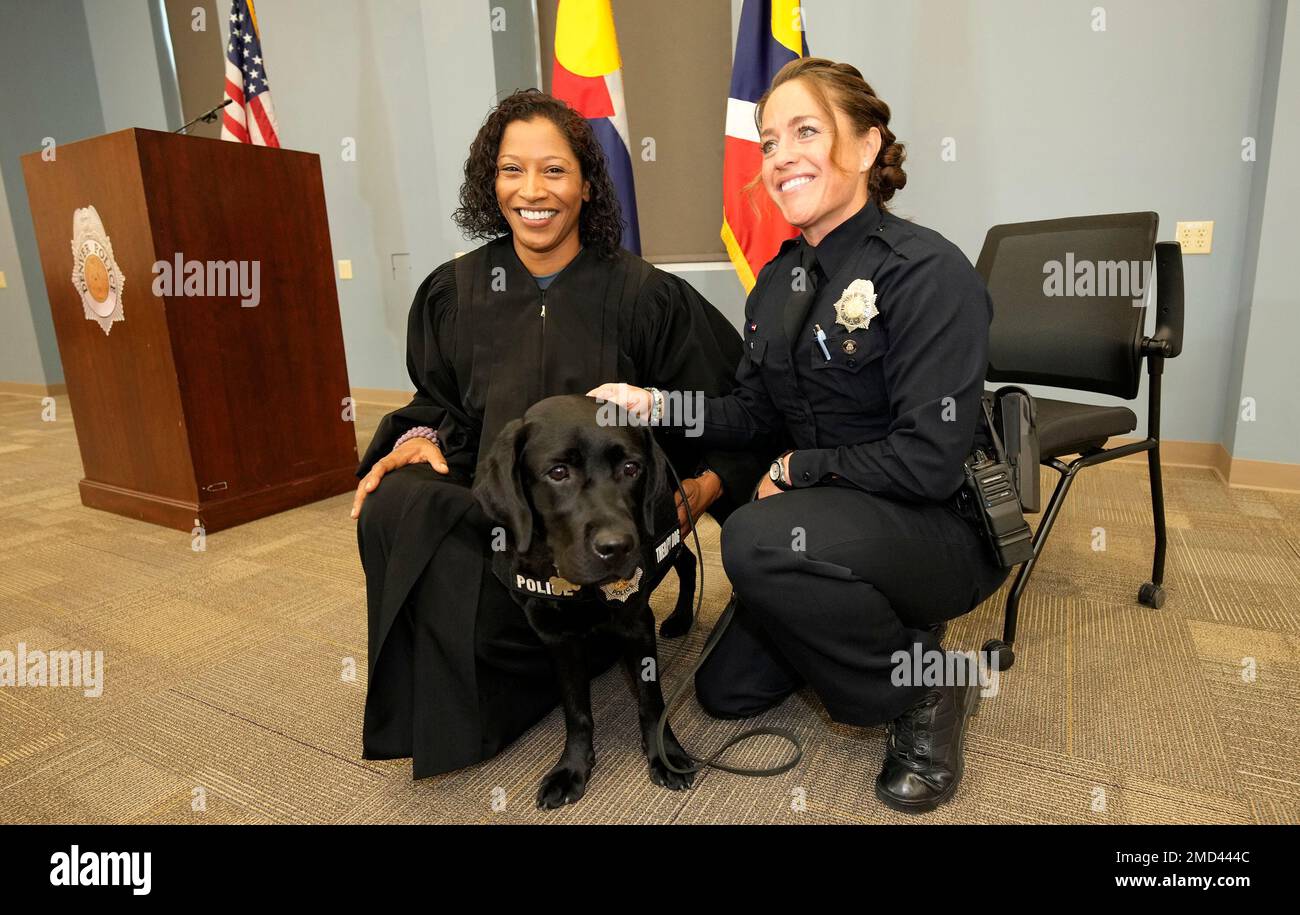 A 15-month-old Black English Labrador Retriever named Shelby, center ...