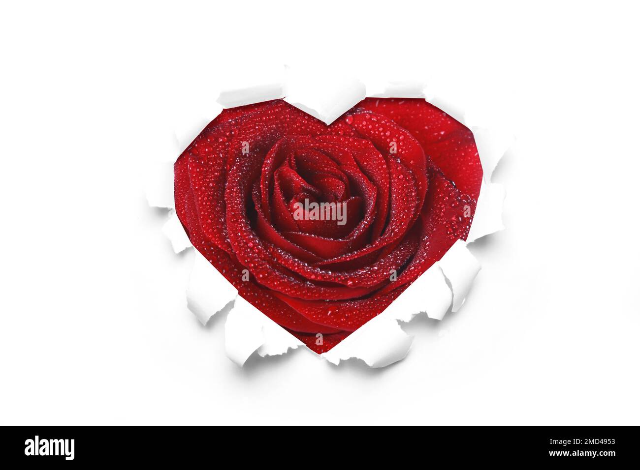 Valentines Day background. Love and Valentine's Day concept Stock Photo ...