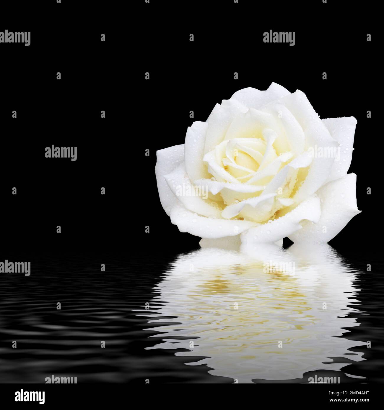 Valentines Day background. Love and Valentine's Day concept Stock Photo ...