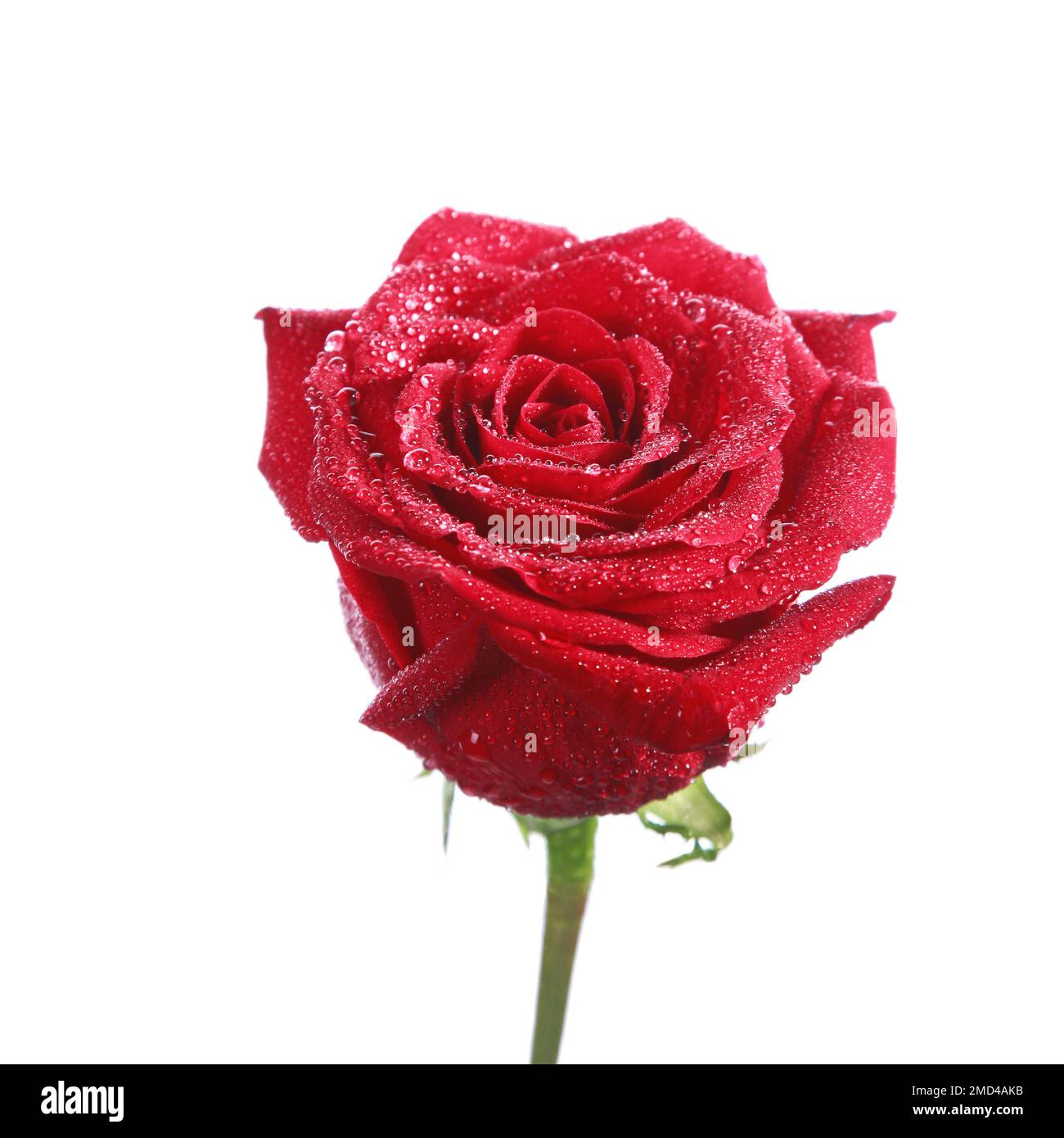 Valentines Day background. Love and Valentine's Day concept Stock Photo ...