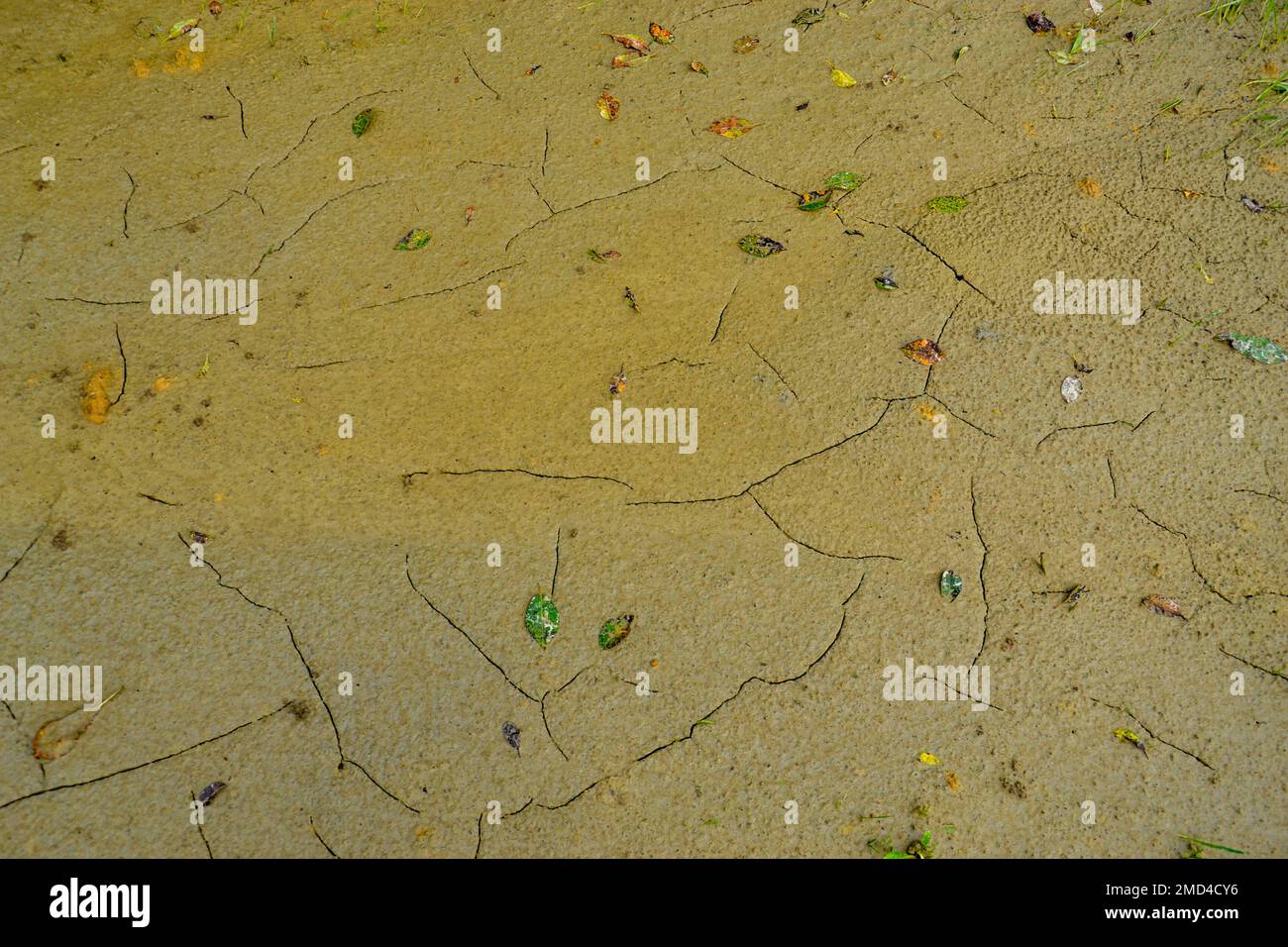 Drying up ground Stock Photo - Alamy