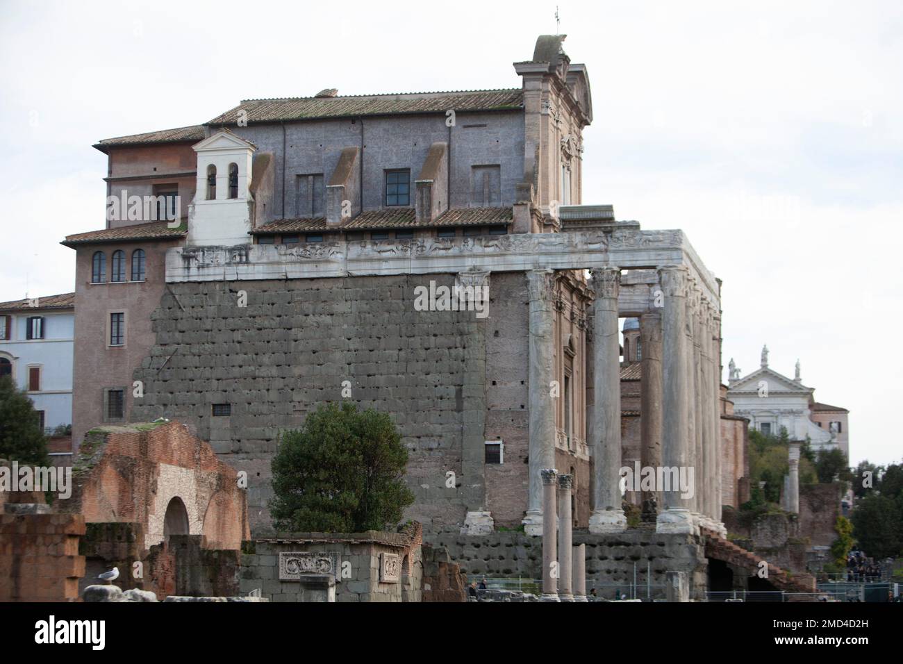 Ancient roman forum in the city of Rome Stock Photo - Alamy