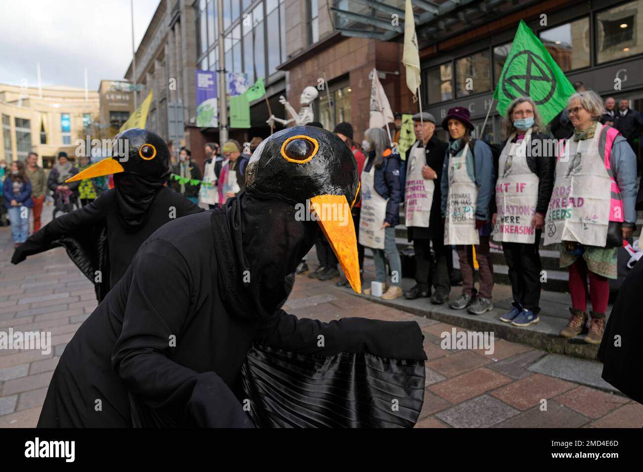 Extension Rebellion activists dressed as birds protest against bird ...