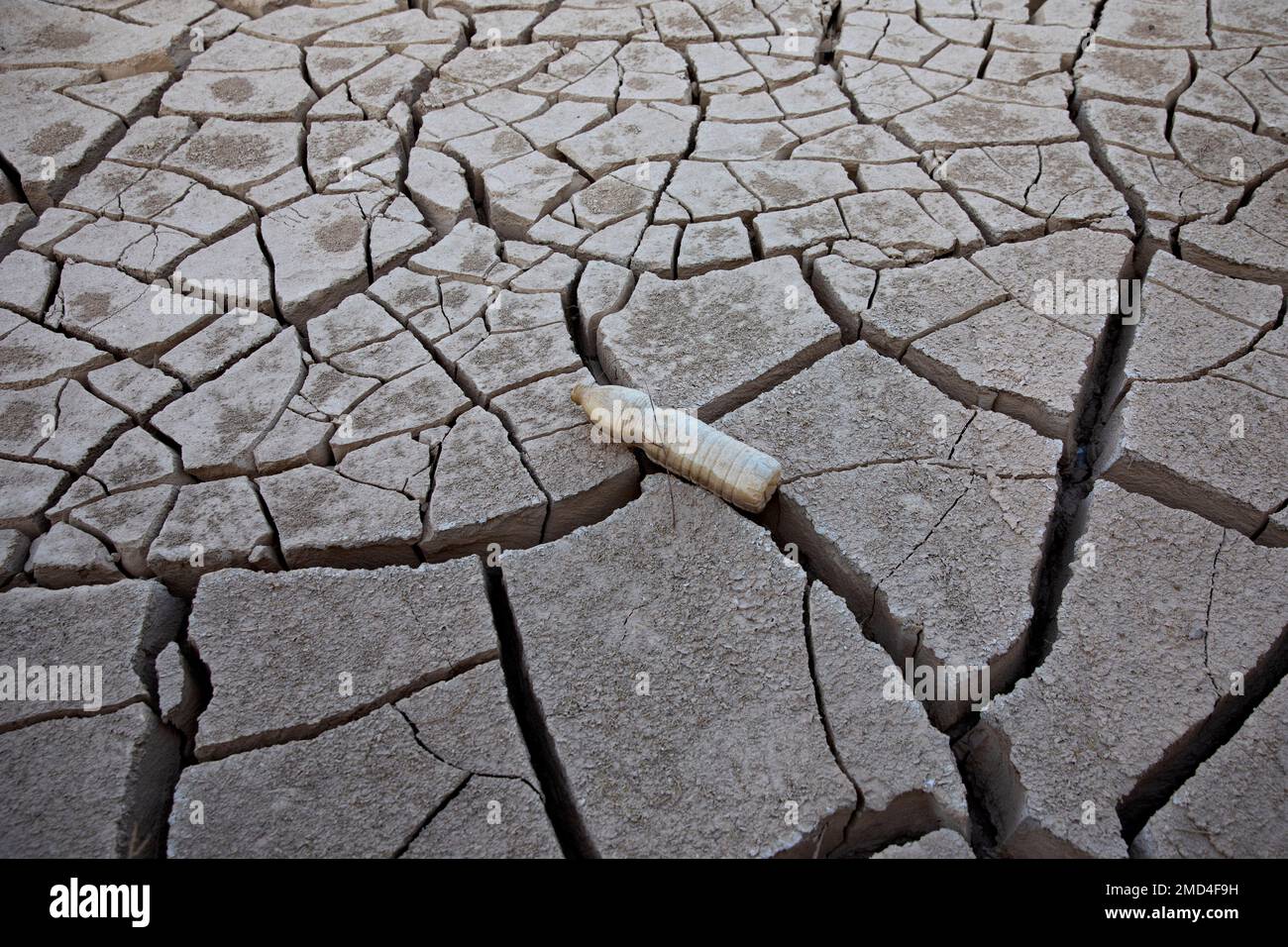 An empty plastic bottle is seen between the cracked mud of the Shlomo ...