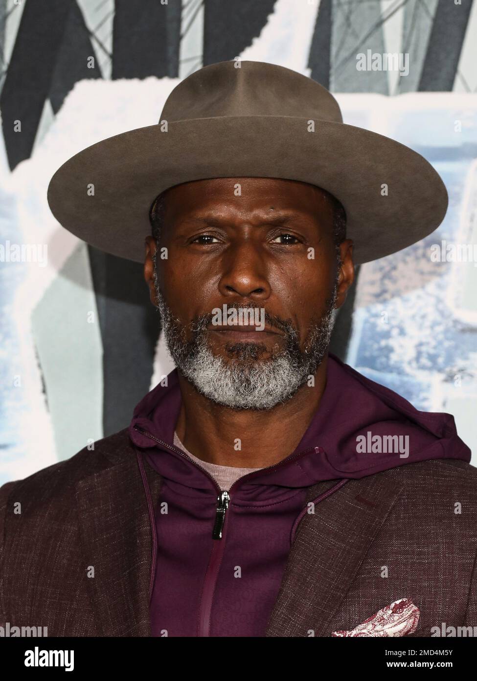 Actor Curtiss Cook attends the world premiere of the Showtime drama ...