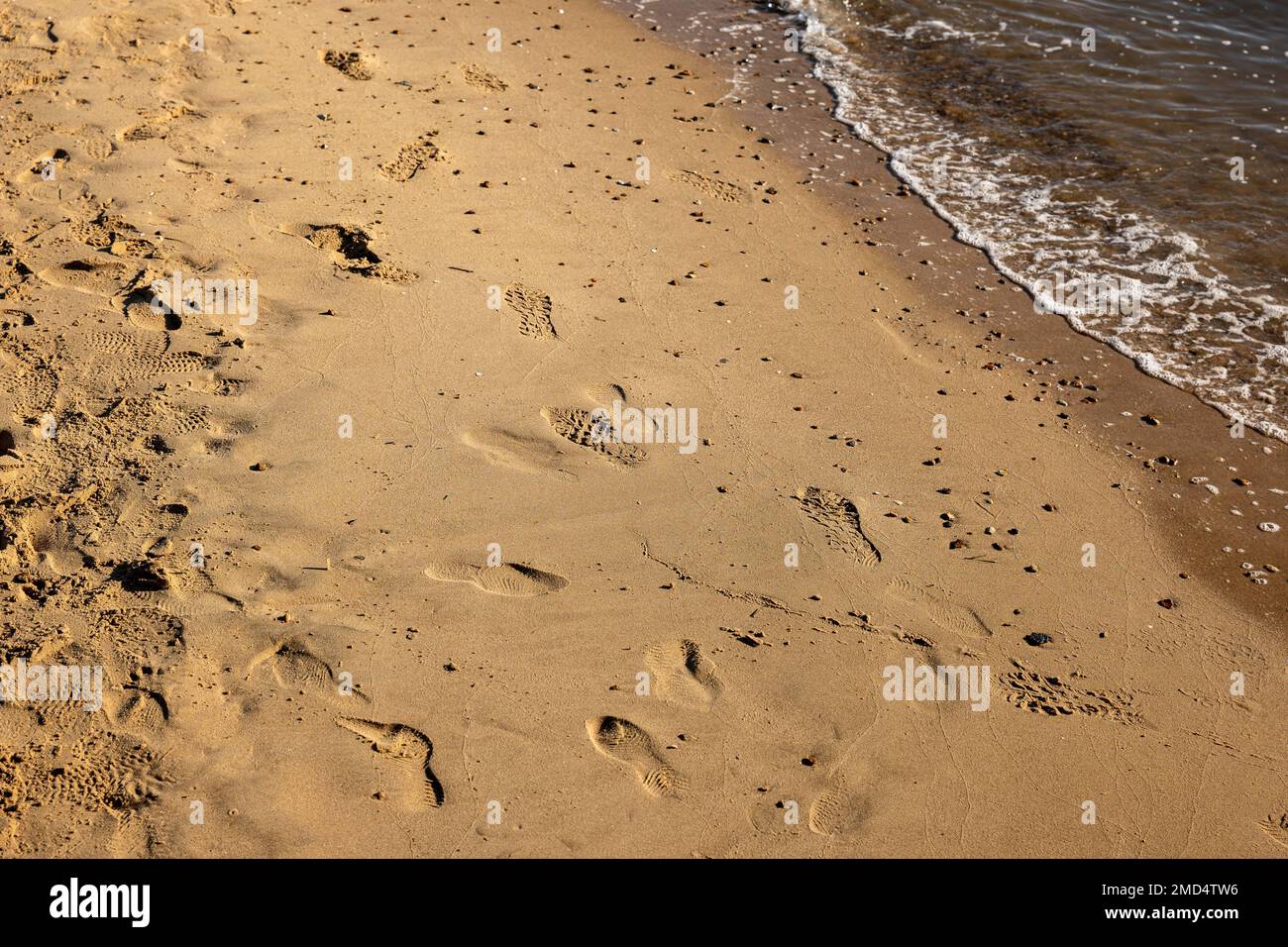 Evidence of activity on a deserted island beach during a cold January ...