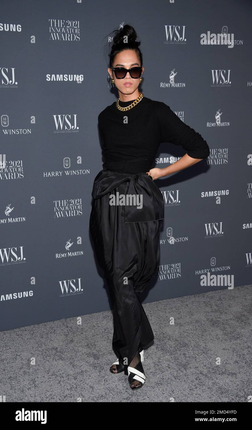 Dara Allen attends the WSJ. Magazine Innovator Awards at the Museum of ...