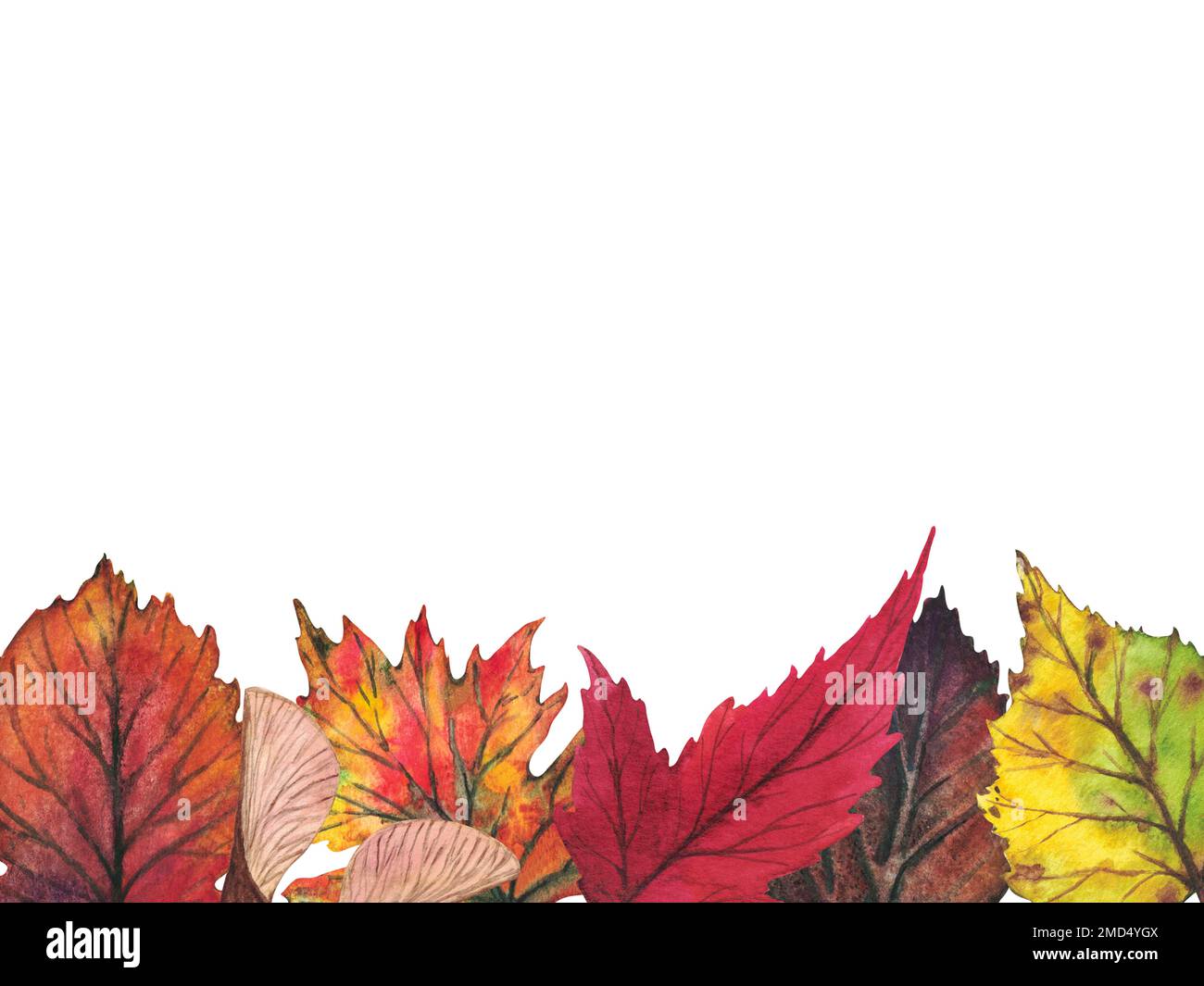 Set of colorful autumn leaves. Watercolor illustration Stock Photo - Alamy