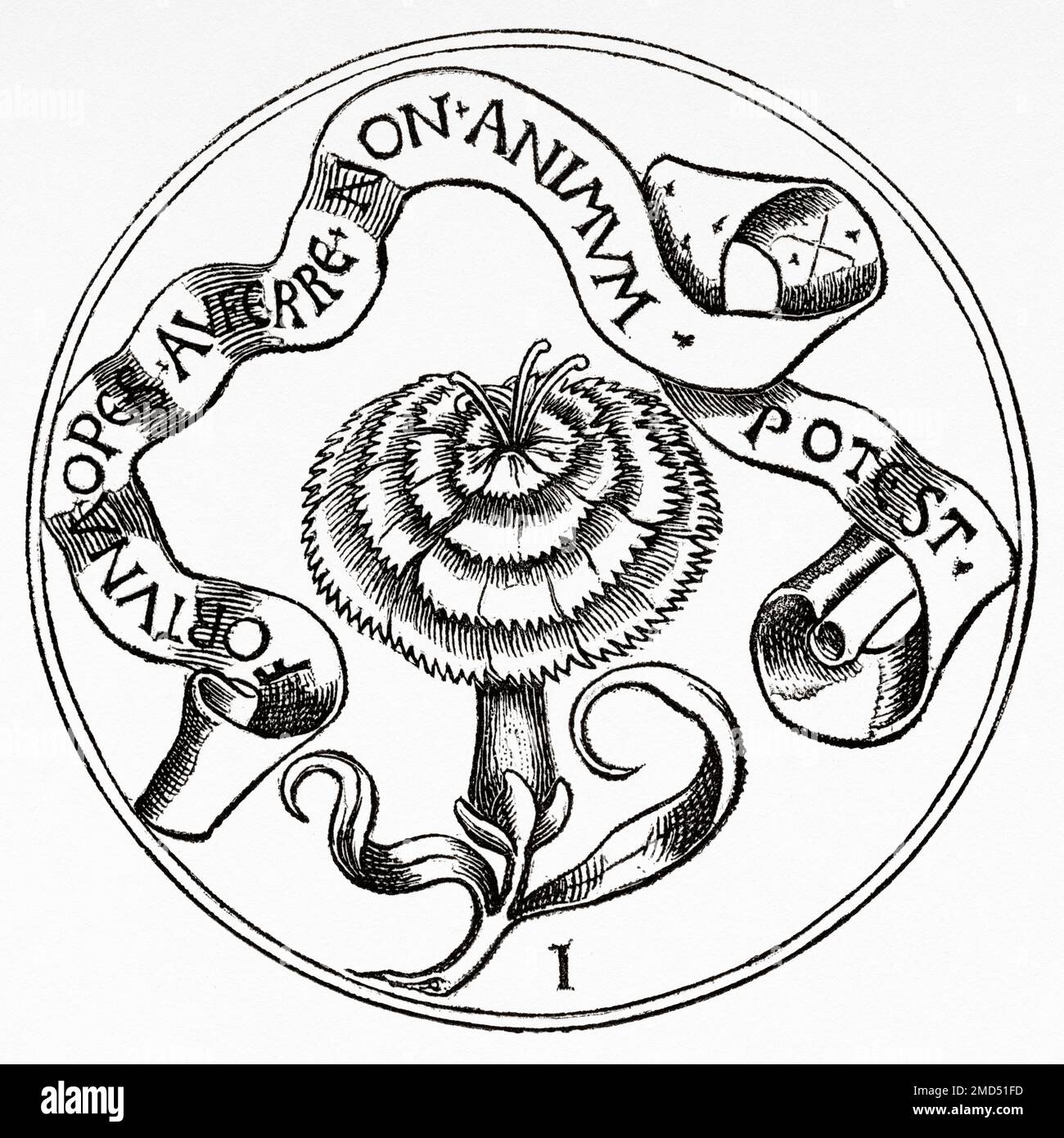 Ace culture Cut Out Stock Images & Pictures - Alamy