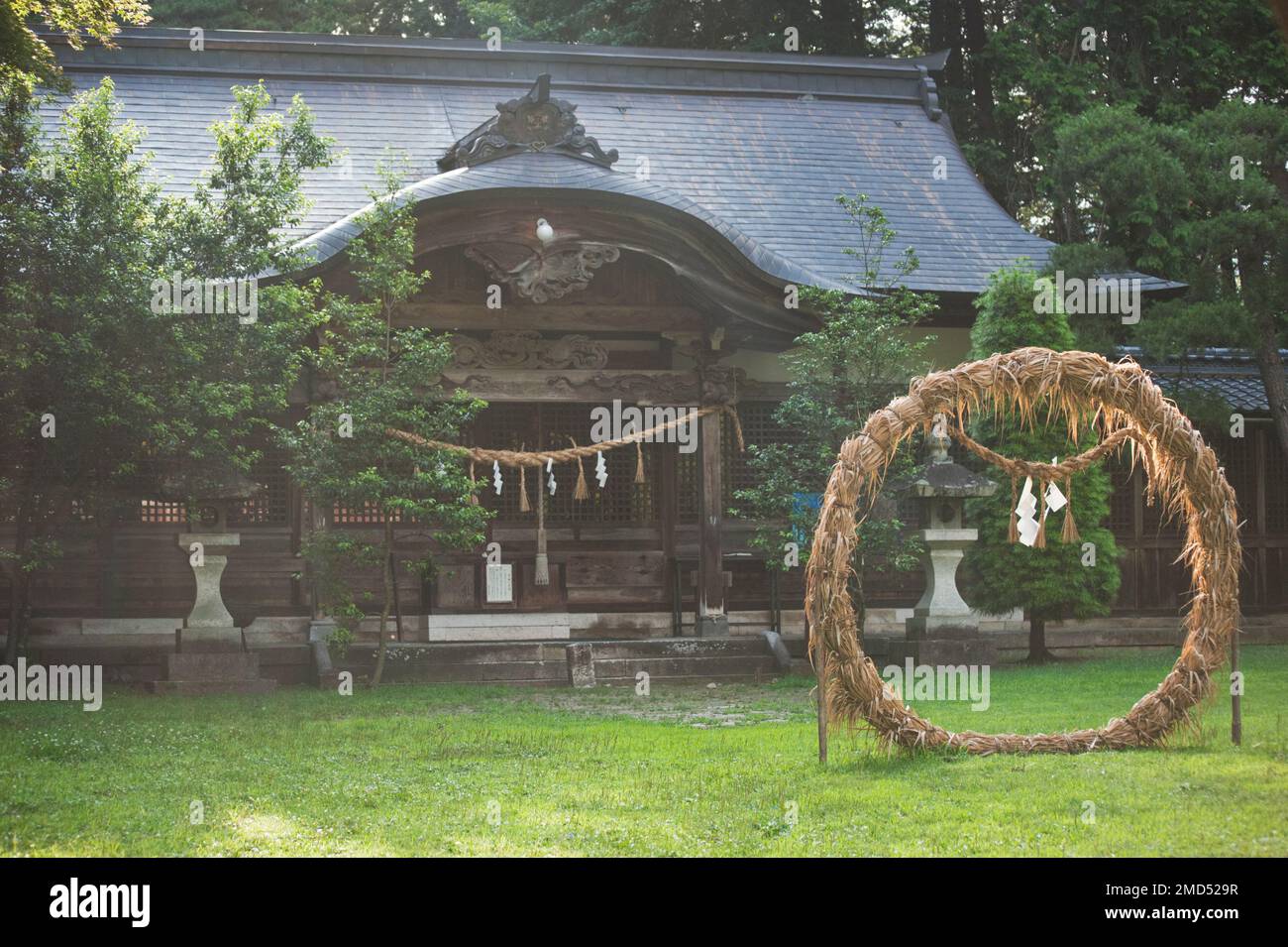 A chinowa ring at a Japanese Shrine in Nagano prefecture in the late ...