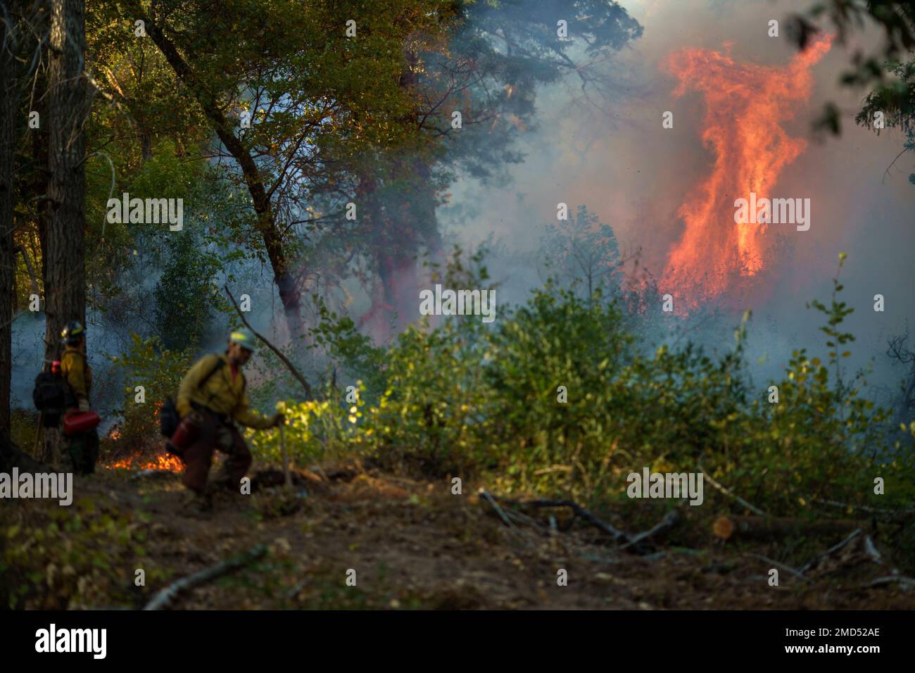 Crews work a cultural training burn on the Yurok reservation in ...