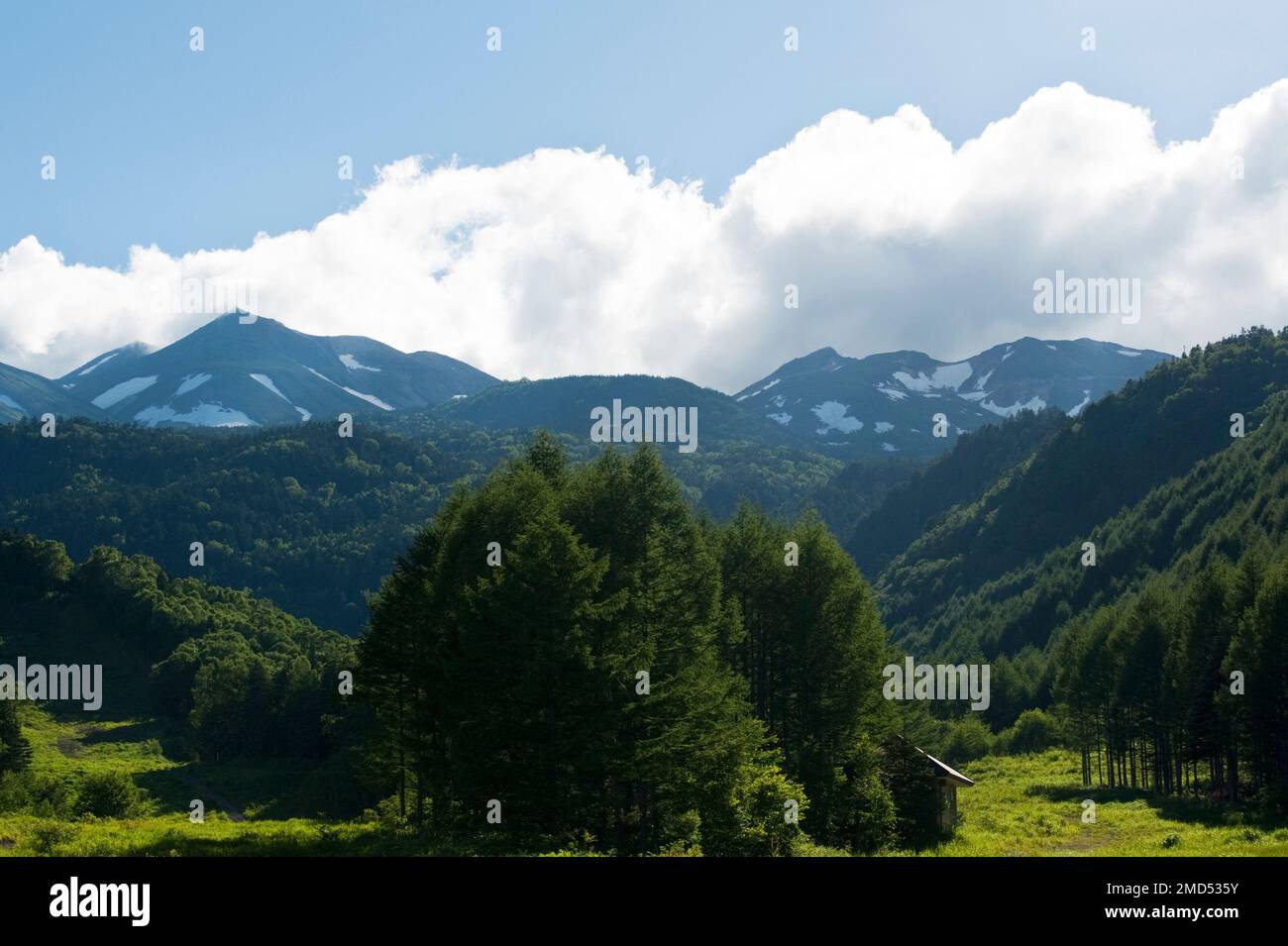 The lower slopes of Mount Norikura are very green in the summer, Nagano ...
