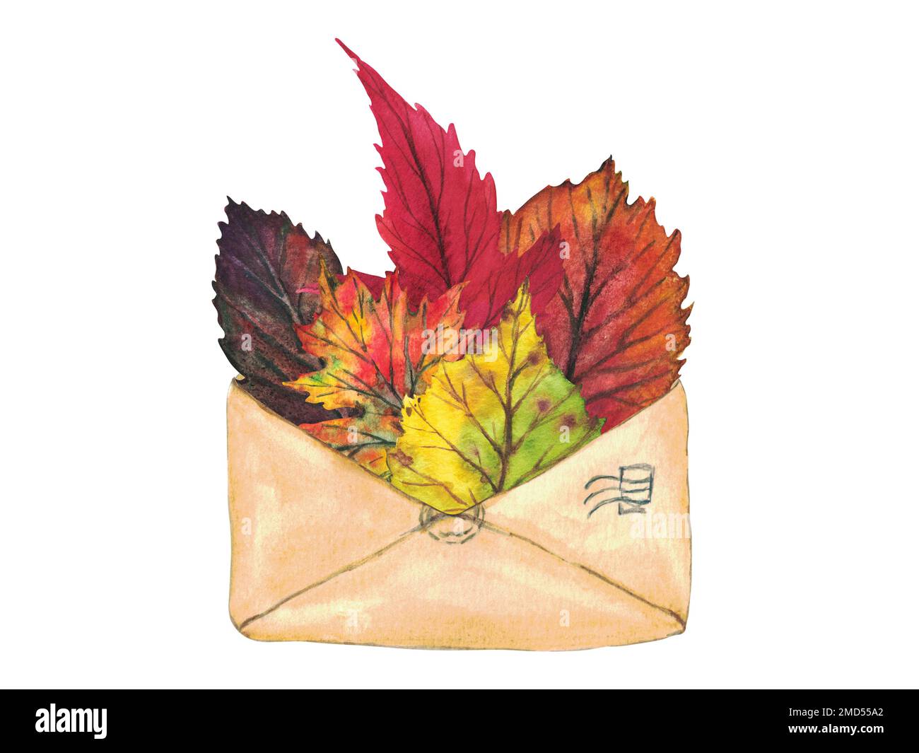 Autumn leaves in a envelope. Watercolor illustration on a white ...