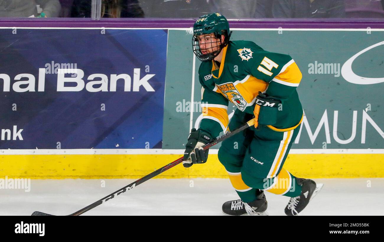 Northern Michigan forward Vincent de Mey (14) skates against Minnesota ...