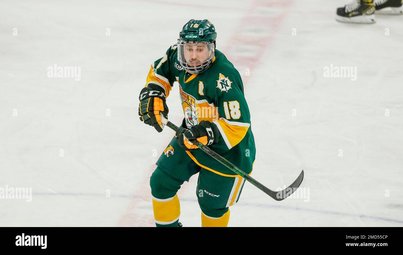 Northern Michigan forward Joseph Nardi (18) skates against Minnesota ...