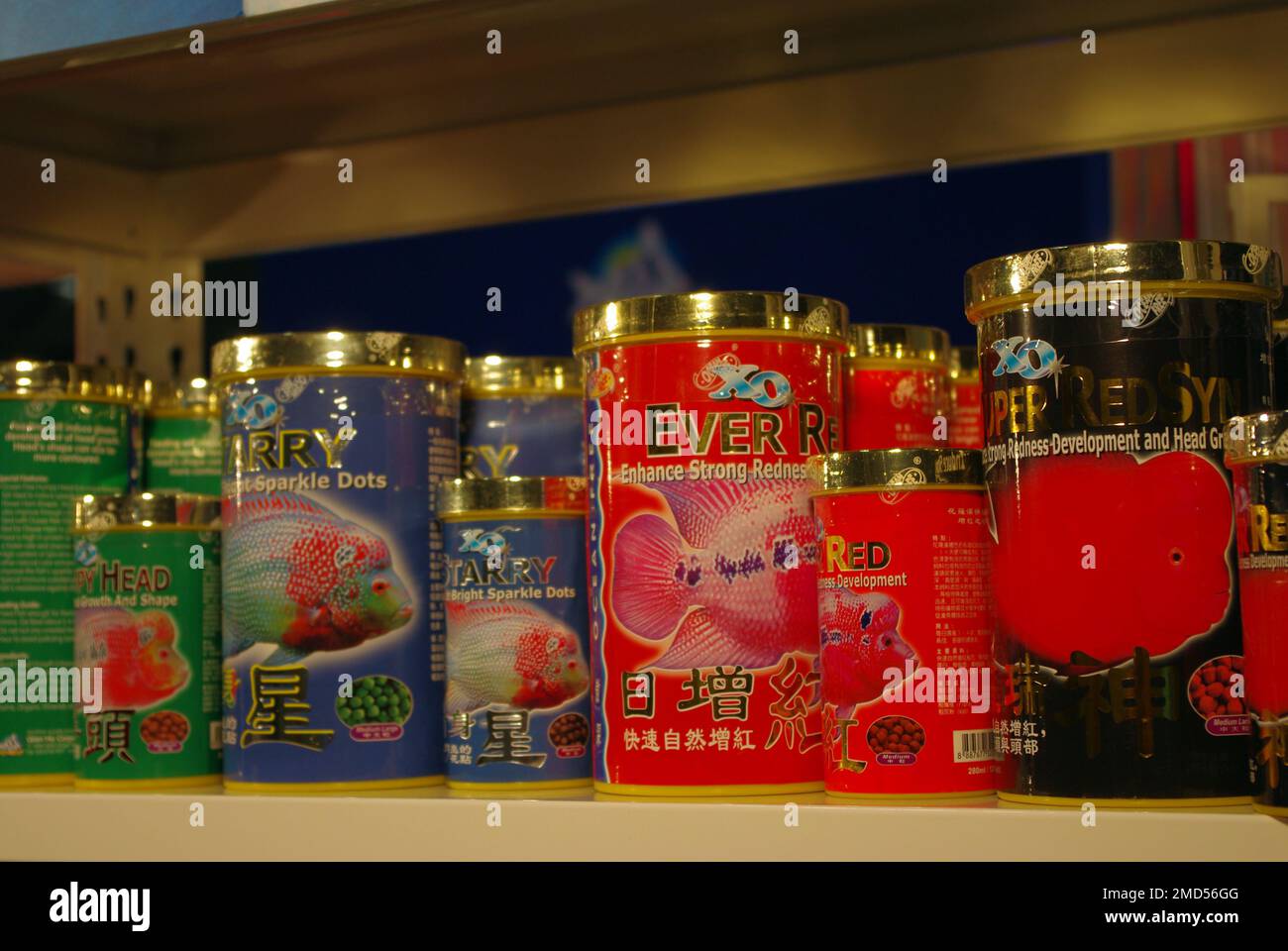 Assorted fish species hi-res stock photography and images - Alamy